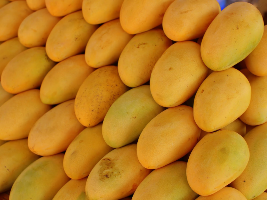 Pakistan Sets $100M Mango Export Goal for 2025